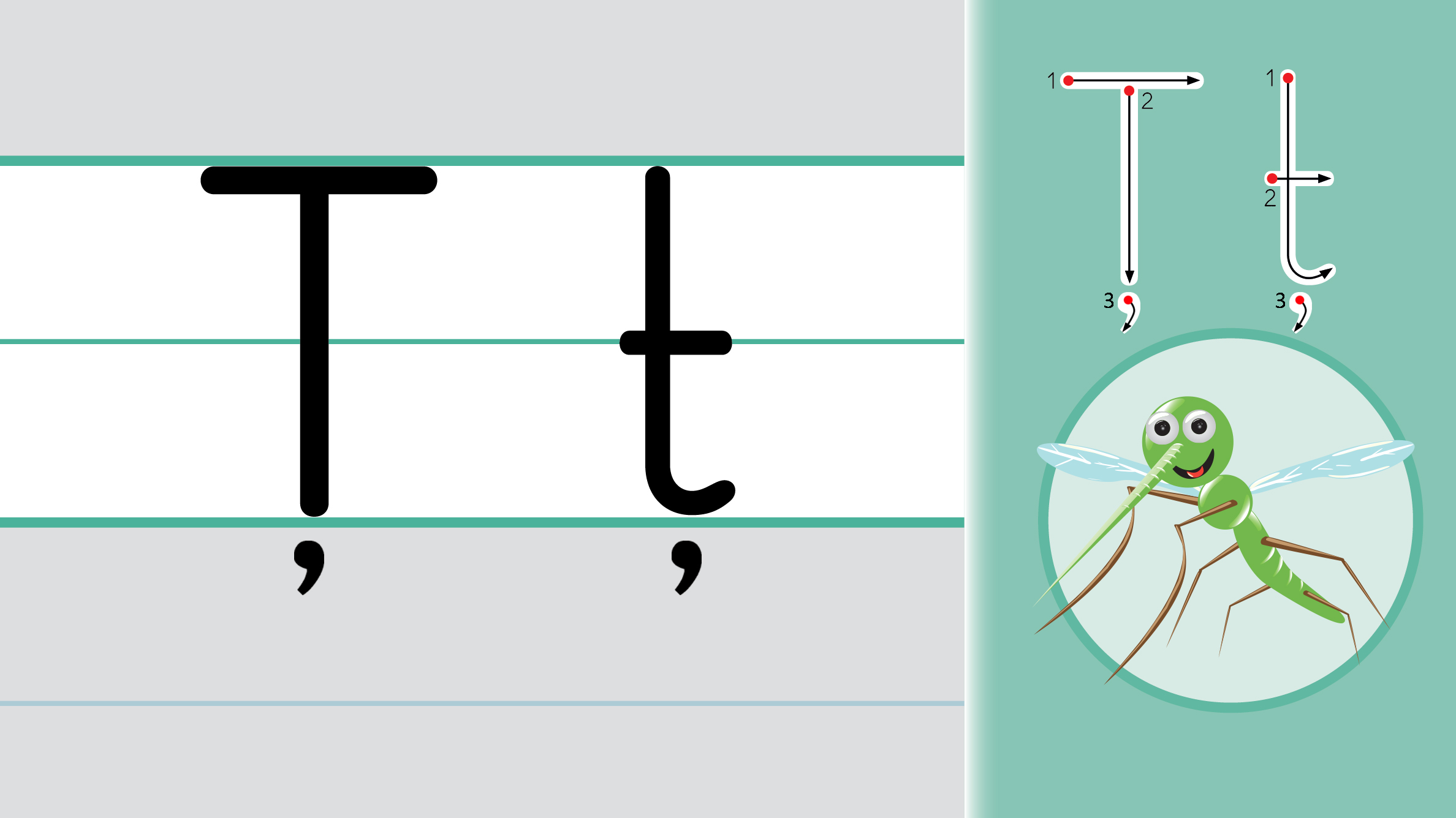 Literele Ț mare și ț mic de tipar
